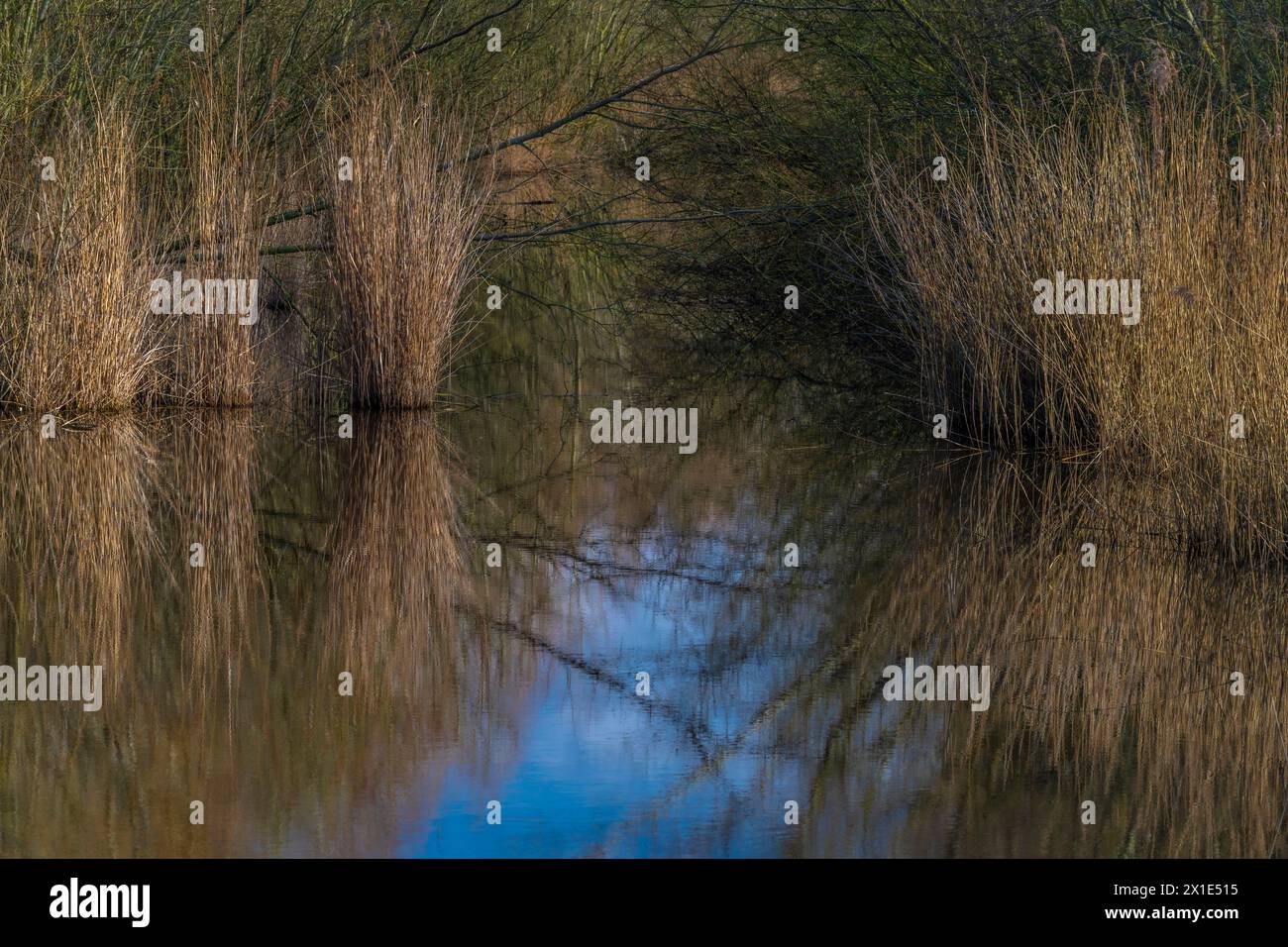 Small lake czechia hi-res stock photography and images - Alamy