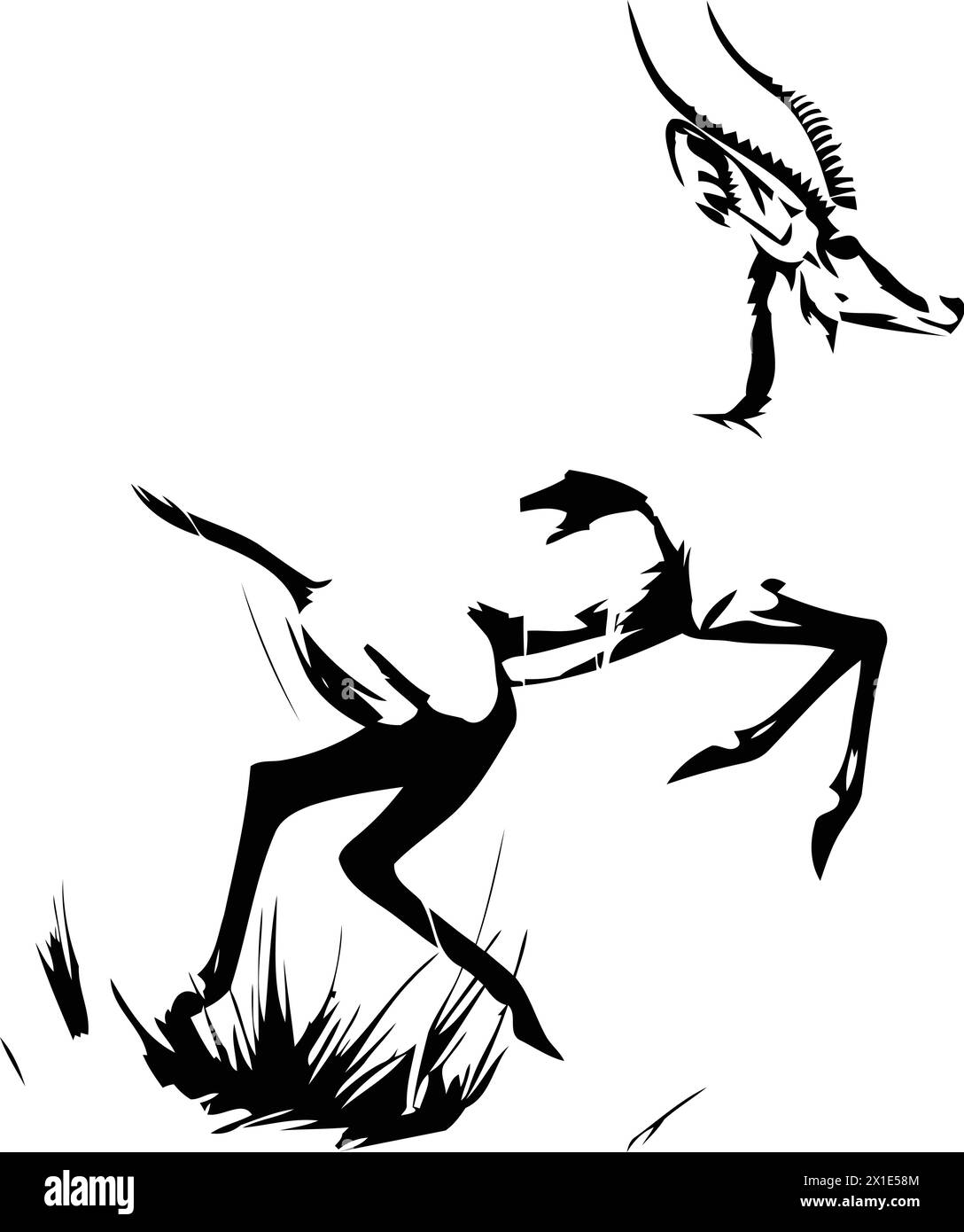 Impala on grass Stock Vector Images - Alamy