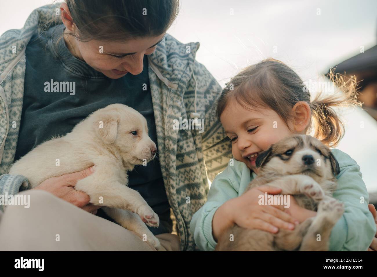 Happy mother and daughter sitting on the green grass with two puppy ...
