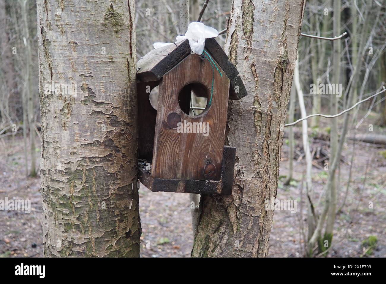 A birdhouse is a closed artificial nesting site for small birds, mainly ...