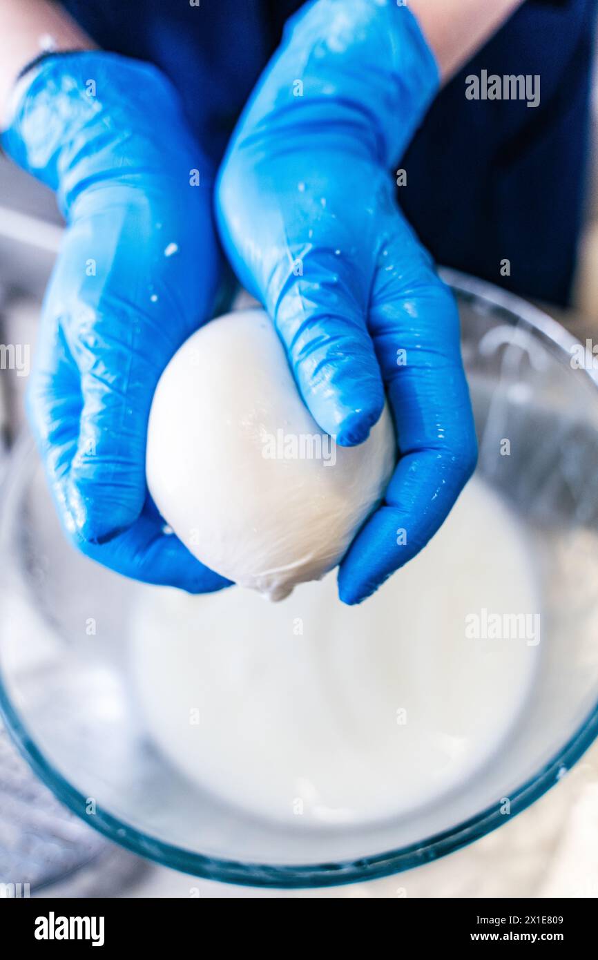 Italian hard cheese silano or caciocavallo in cheesemaker hands. The process of making homemade ...