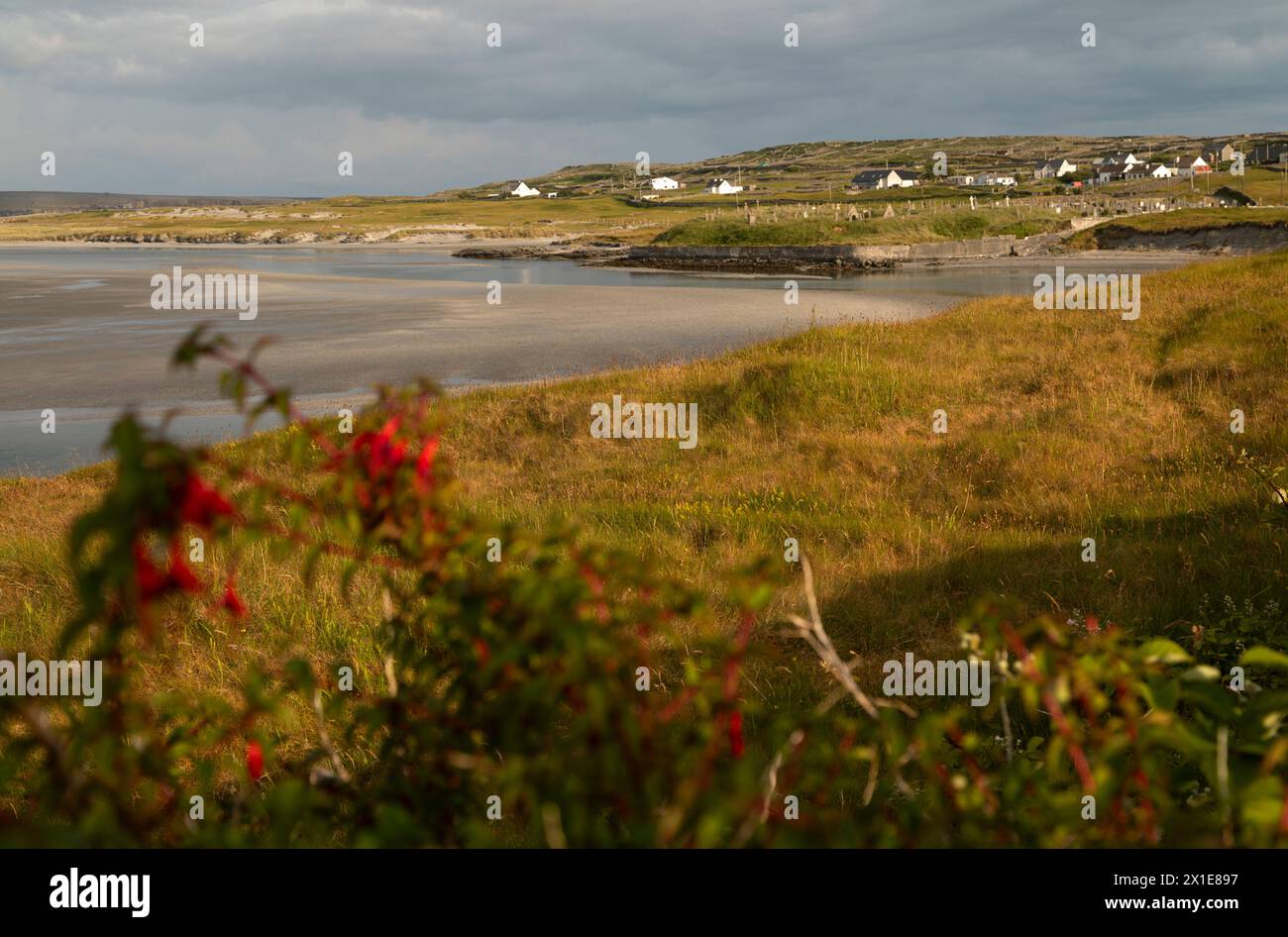 St endas hi-res stock photography and images - Alamy