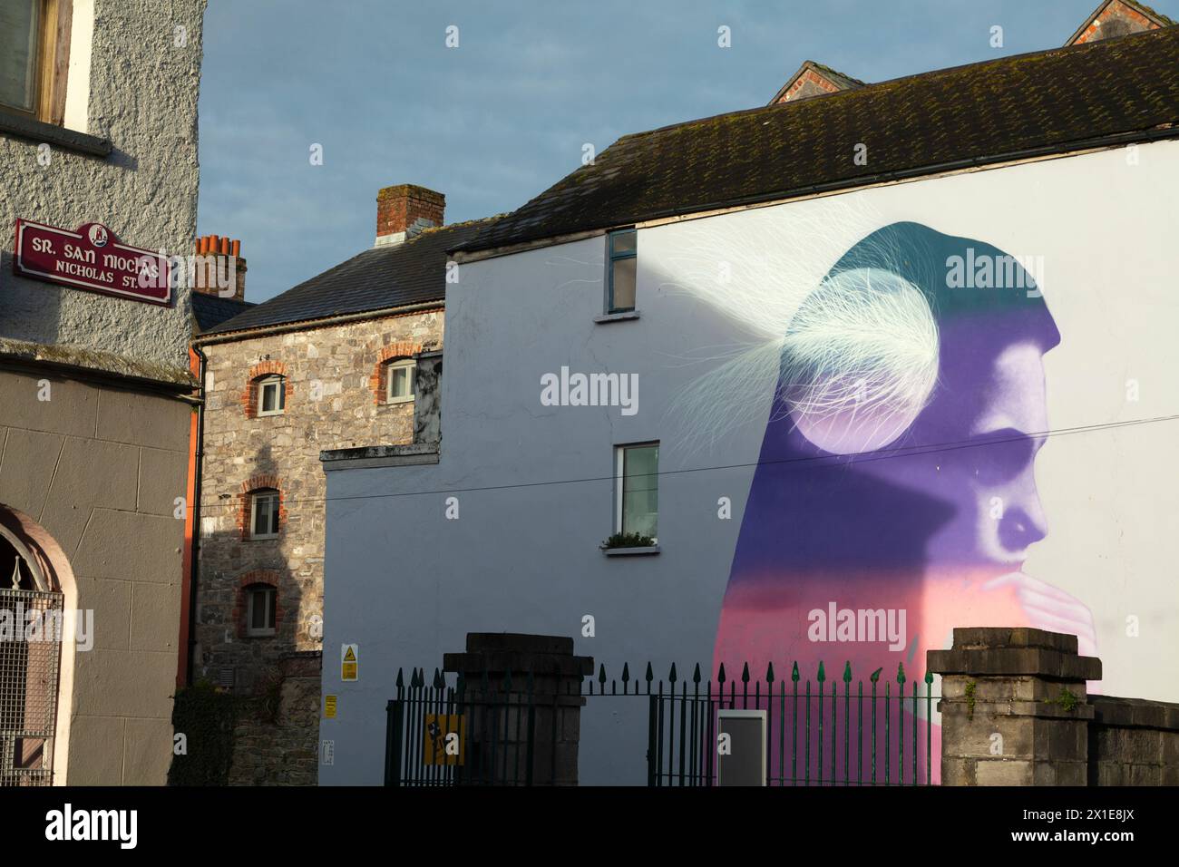 Wall mural on a building facade in Kings island in Limerick city in ...