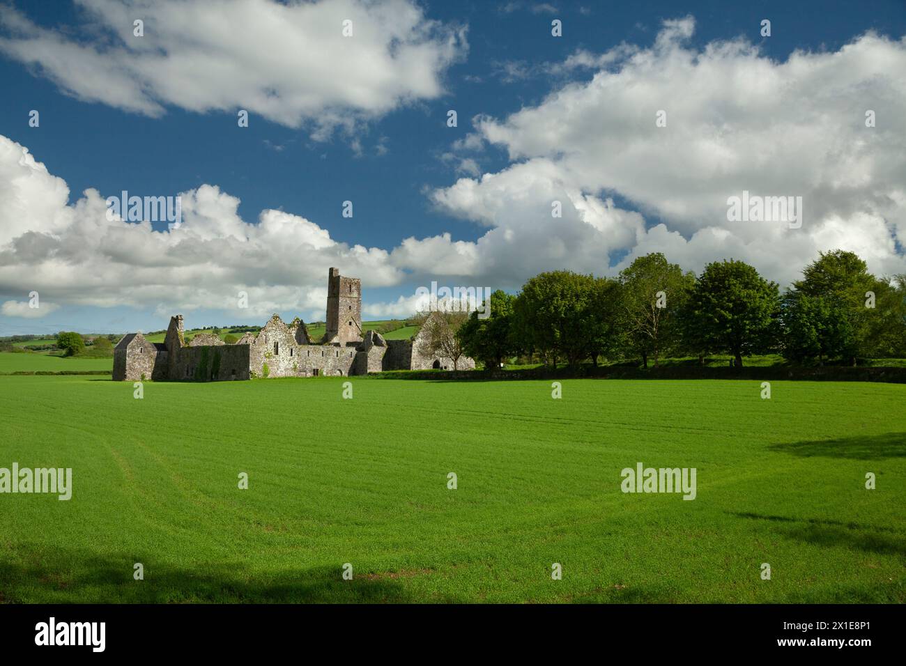 Ruins of Kilcrea abbey on farmland in County Cork in Munster region of ...