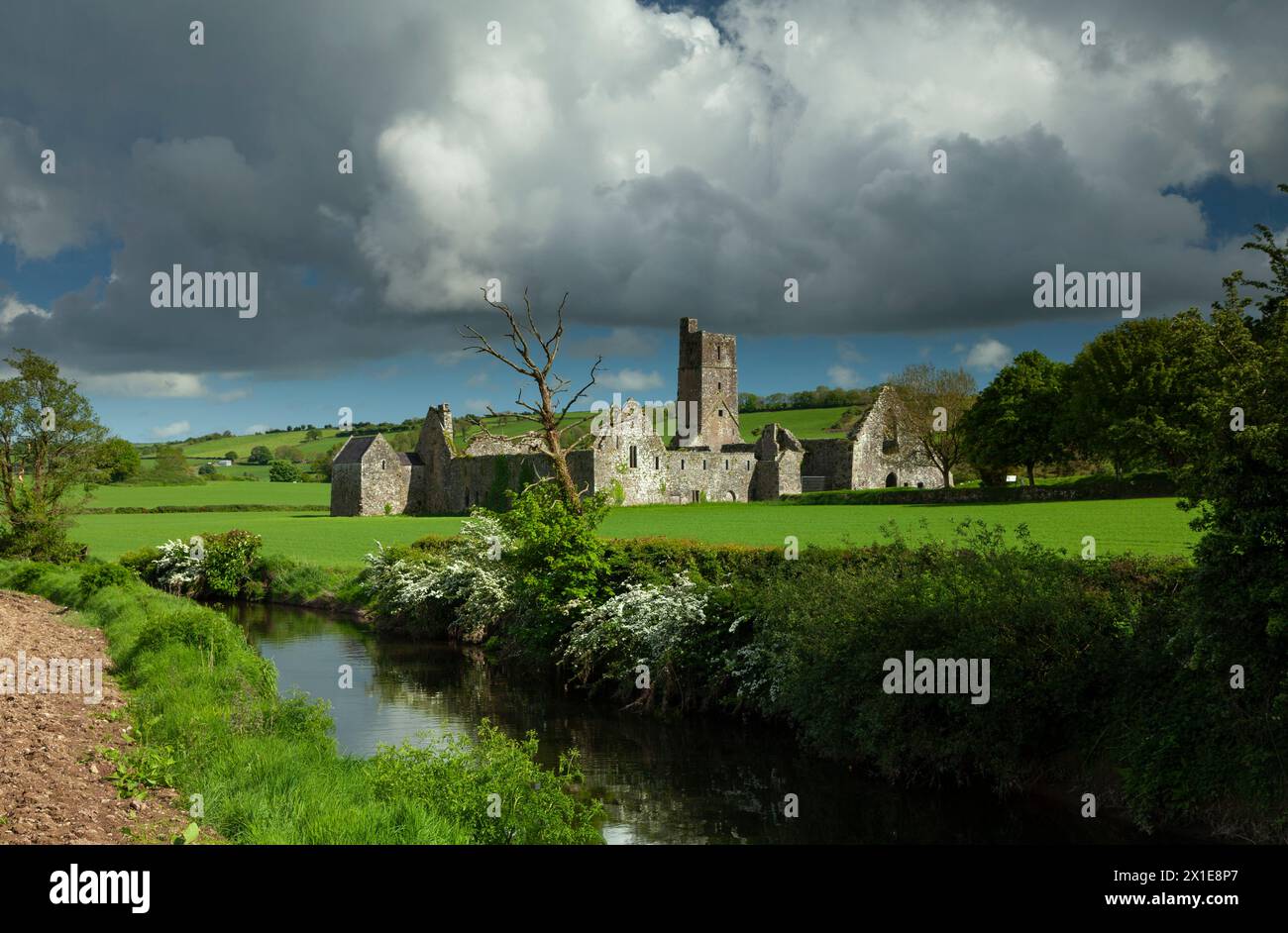 Ruins of Kilcrea abbey on farmland in County Cork in Munster region of ...