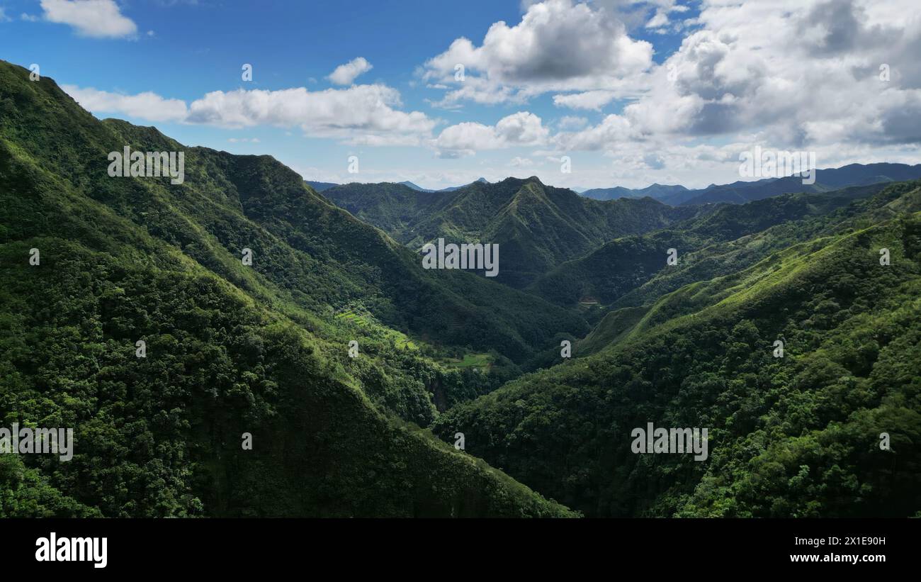 Cordillera mountains luzon forest hi-res stock photography and images ...