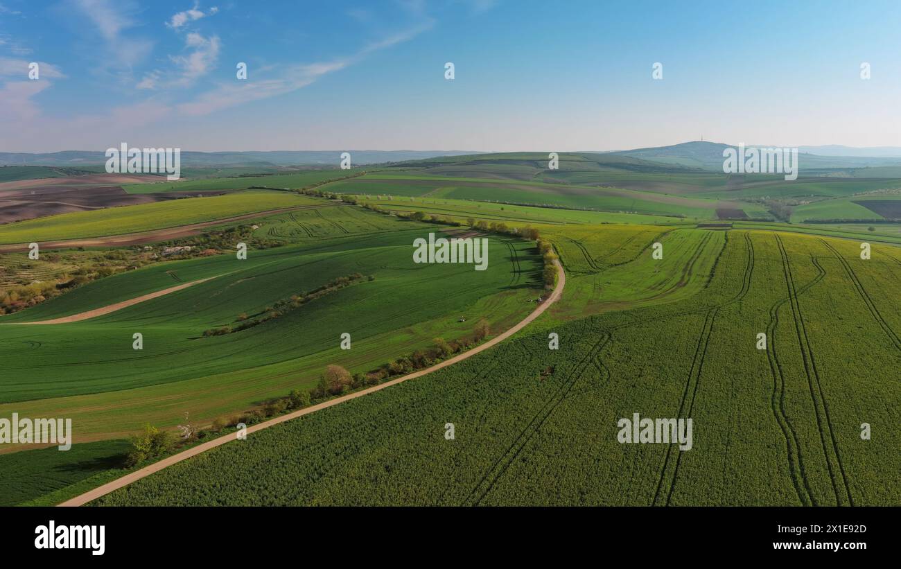 Green wavy hills with agricultural fields Stock Photo - Alamy