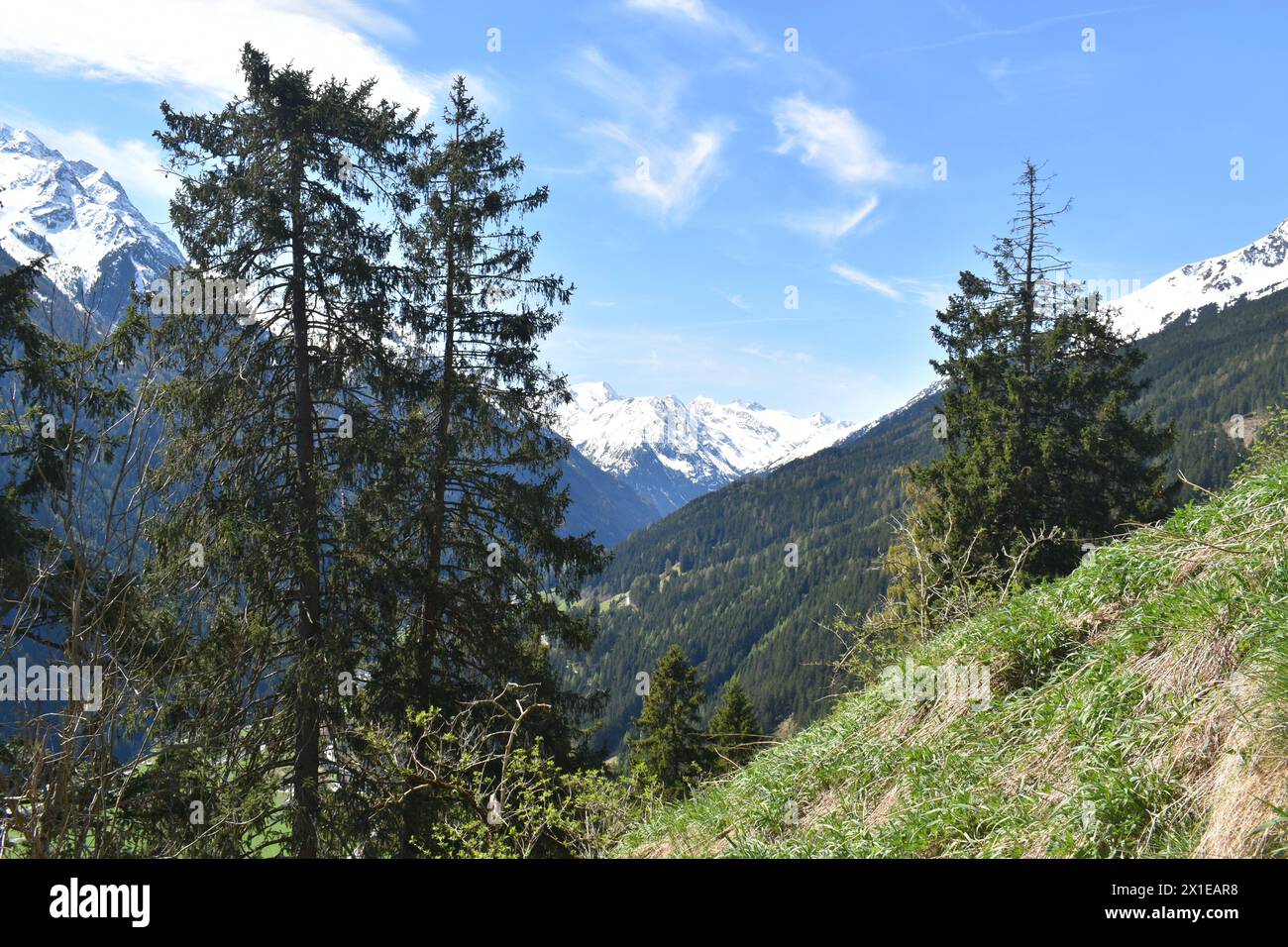 View from beautiful valley of Stubai under Stubai Glacier with small ...