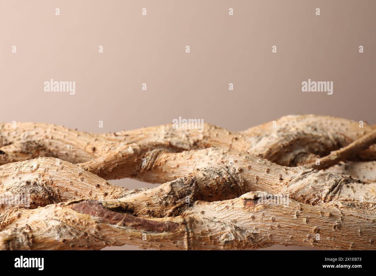 Braided trunk hi-res stock photography and images - Alamy