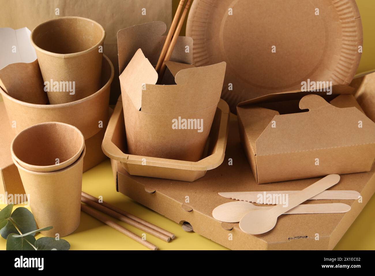 Eco friendly food packaging. Paper containers, tableware and eucalyptus ...