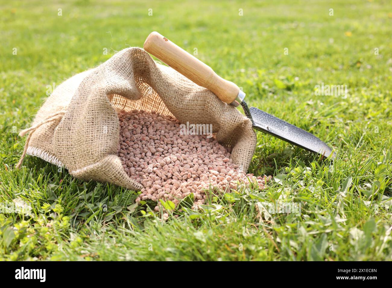 Granulated fertilizer in sack and shovel on green grass outdoors Stock ...