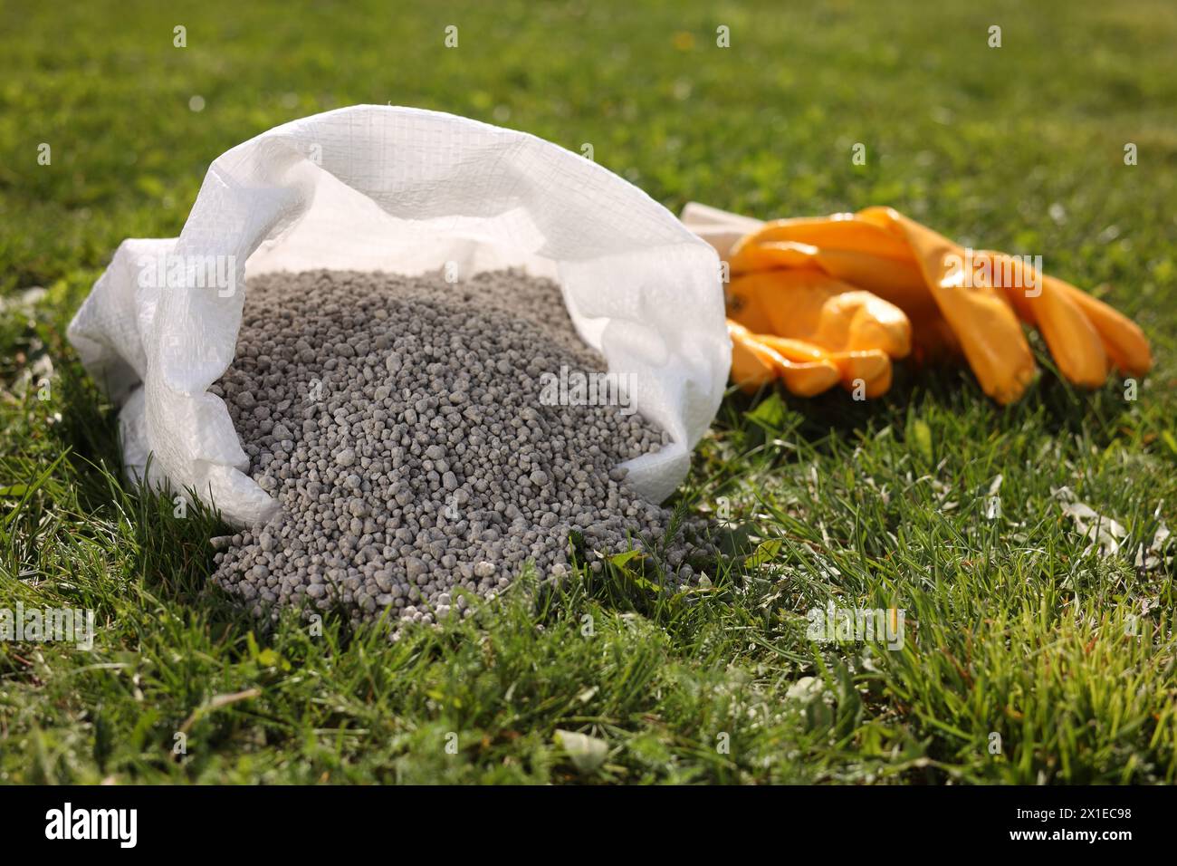 Granulated fertilizer in sack and gloves on green grass outdoors ...