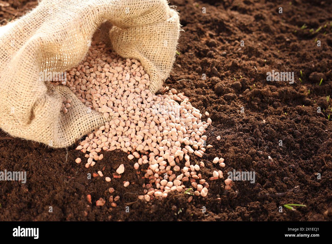 Granulated fertilizer in sack on soil, closeup Stock Photo - Alamy