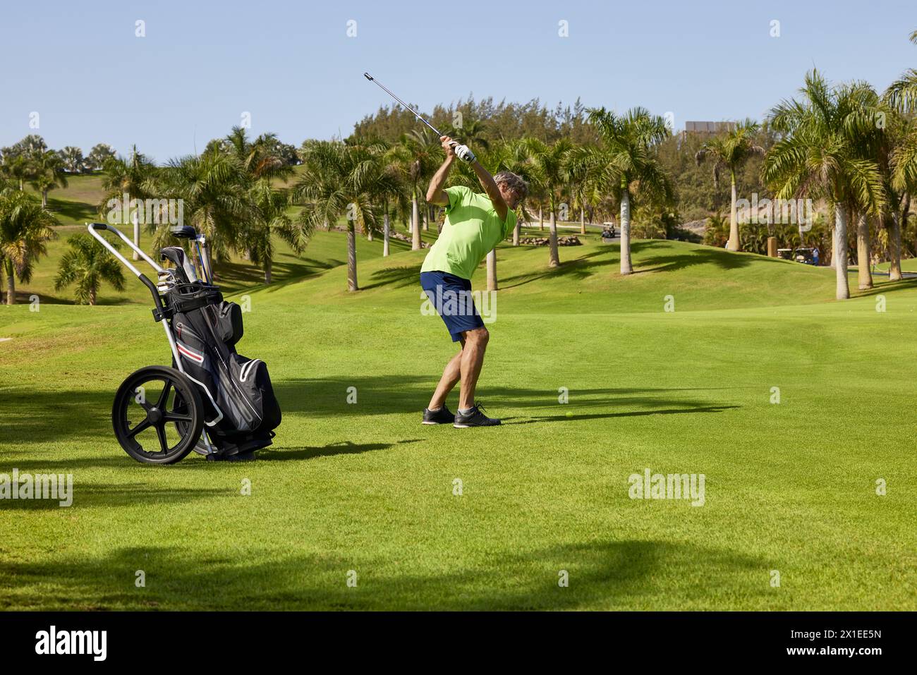 Golfer on a golf course, ready to tee off. Golfer with golf club ...