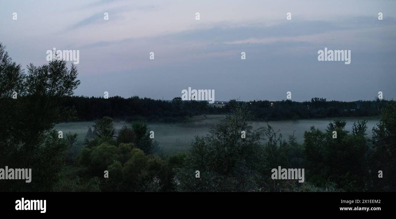 Misty morning landscape - dense green foliage - distant foggy horizon ...