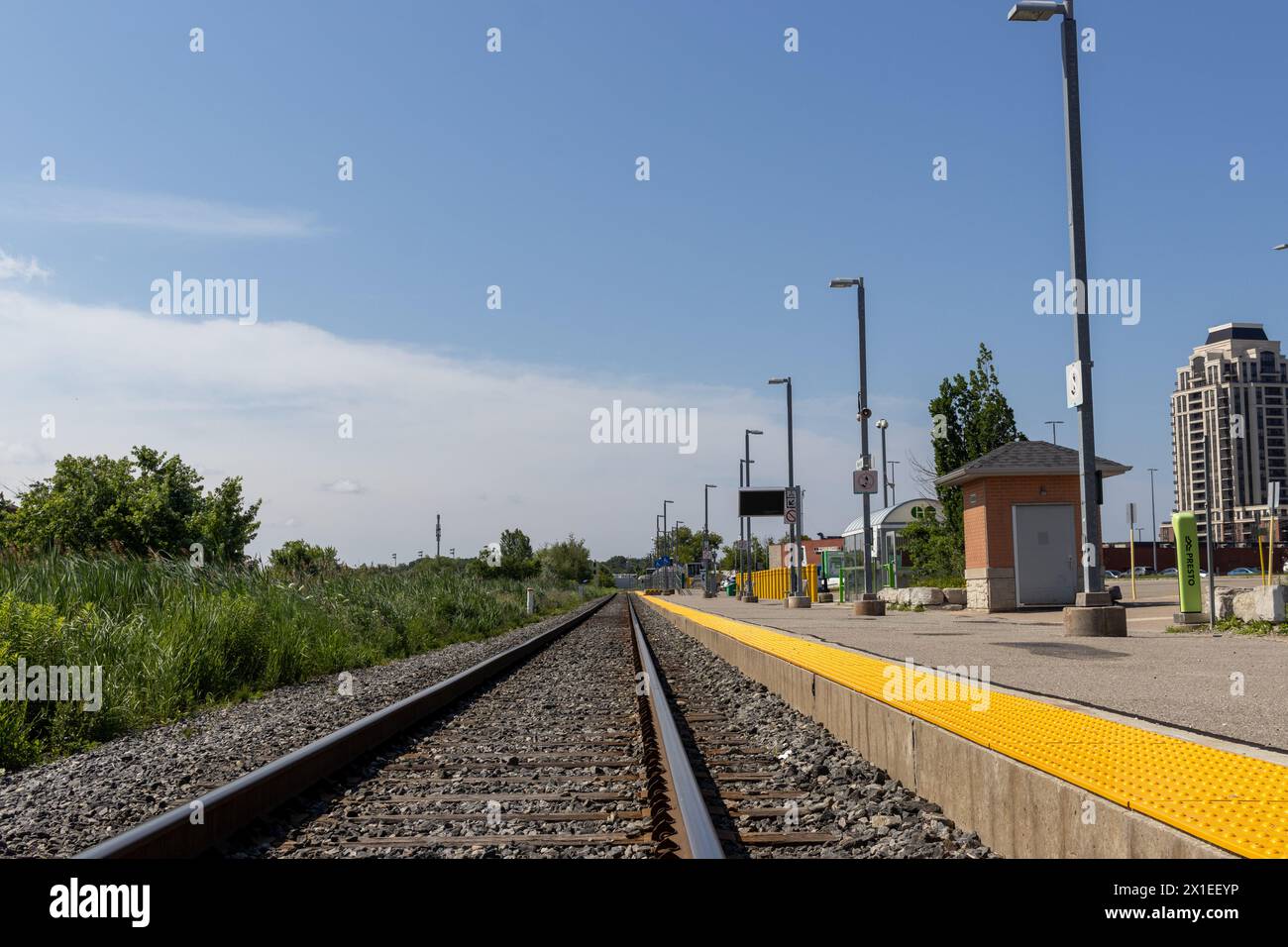 Empty railroad tracks with yellow safety line - surrounded by greenery ...