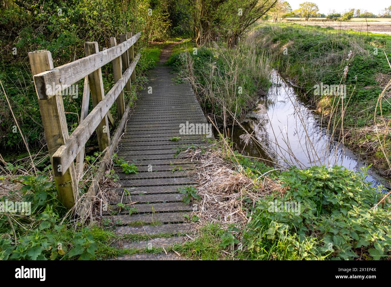 Wooden footbridge in the countryside Stock Photo - Alamy