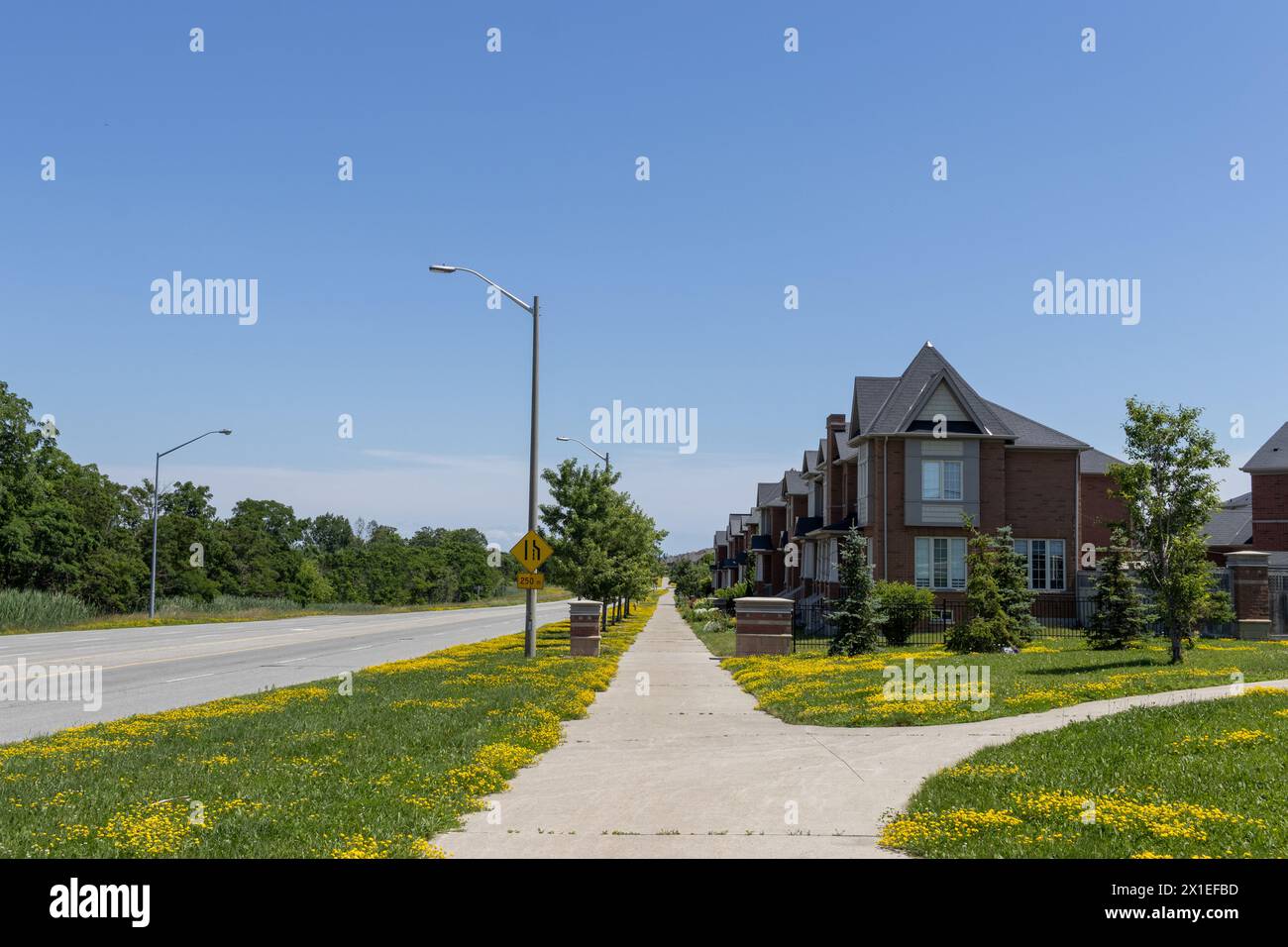 Serene suburban neighborhood - modern brick houses line a street ...