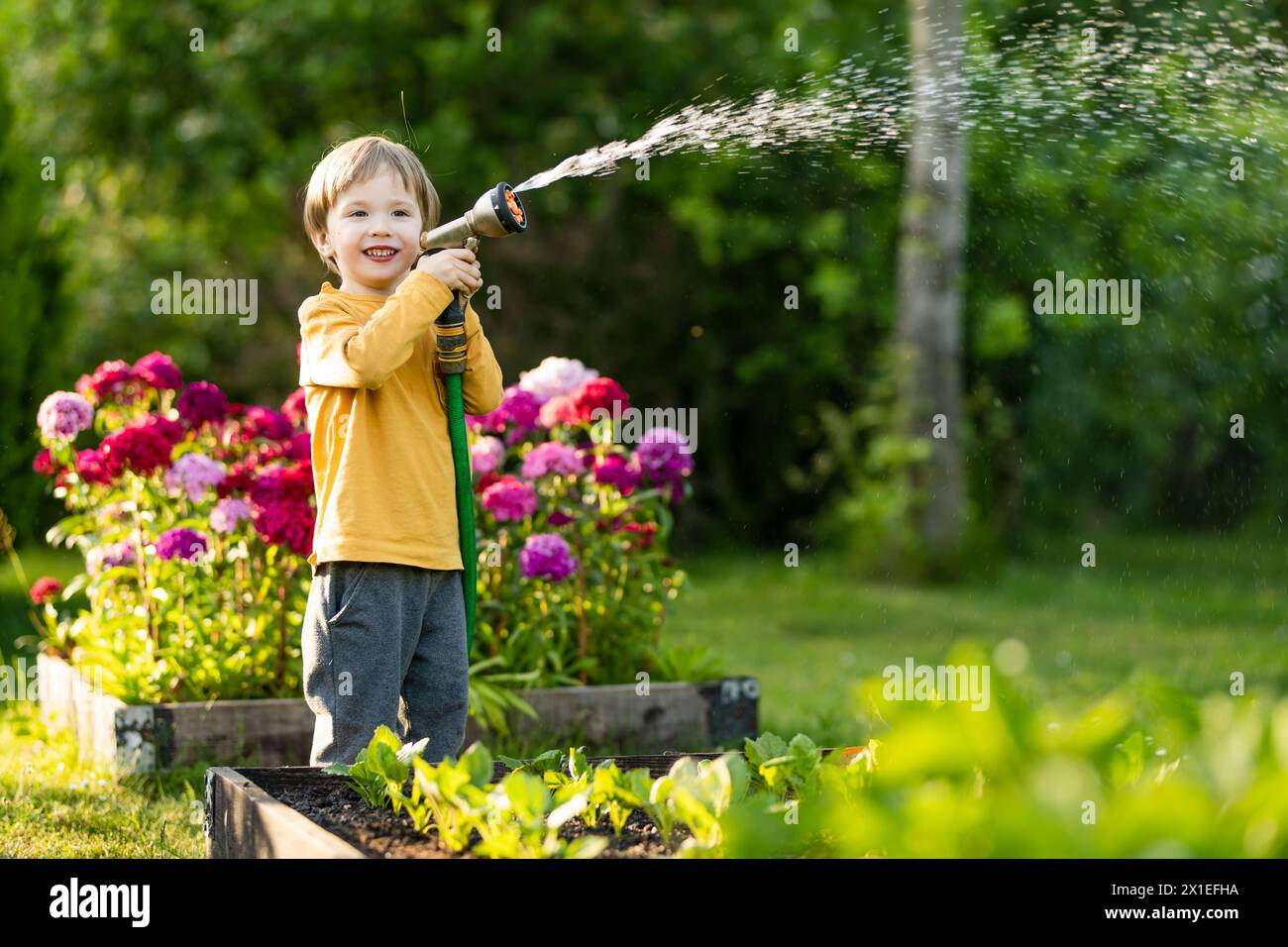 Cute little boy watering flower beds in the garden at summer day. Child ...