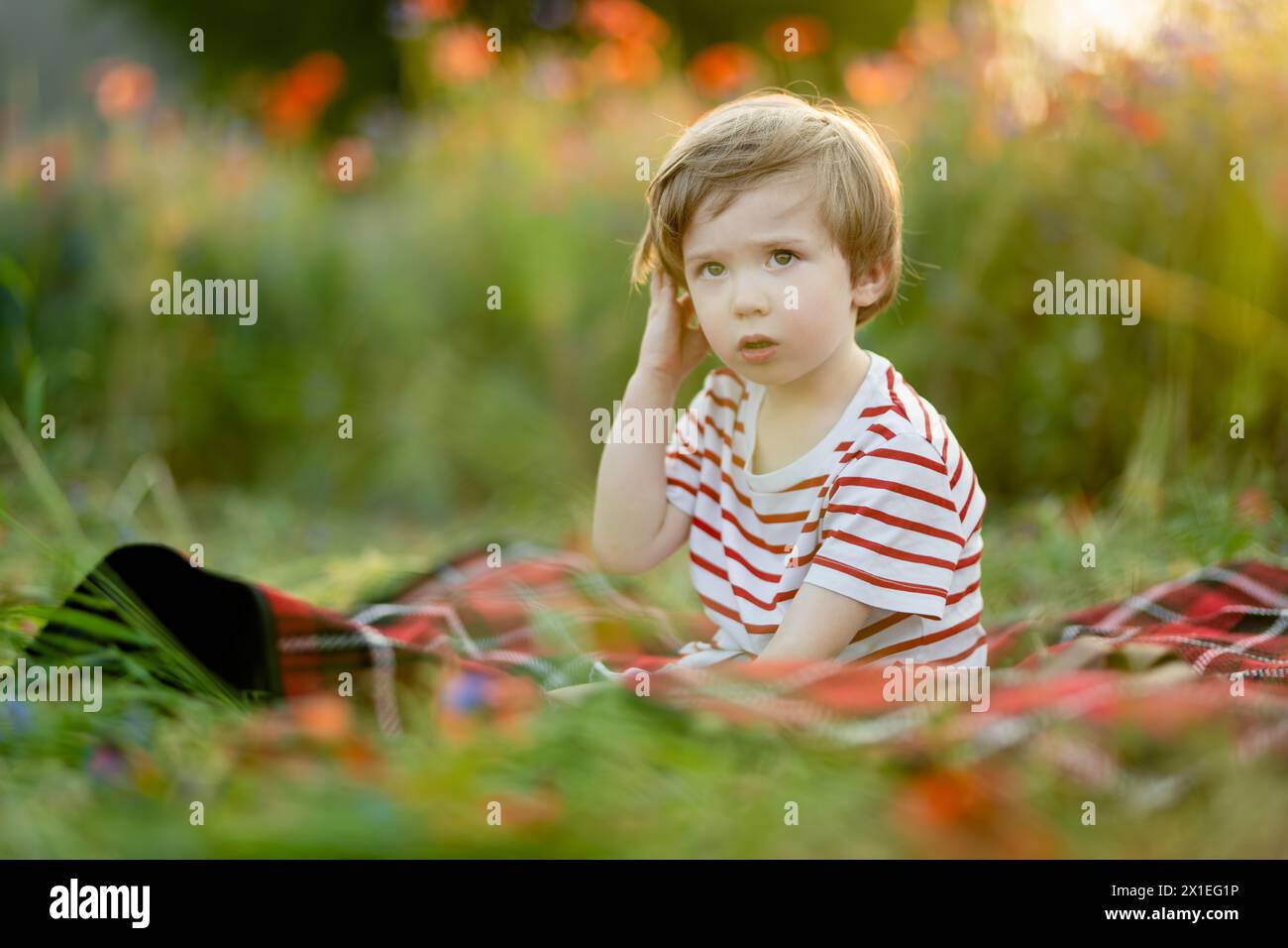 Cute little boy admiring poppy and knapweed flowers in blossoming poppy ...