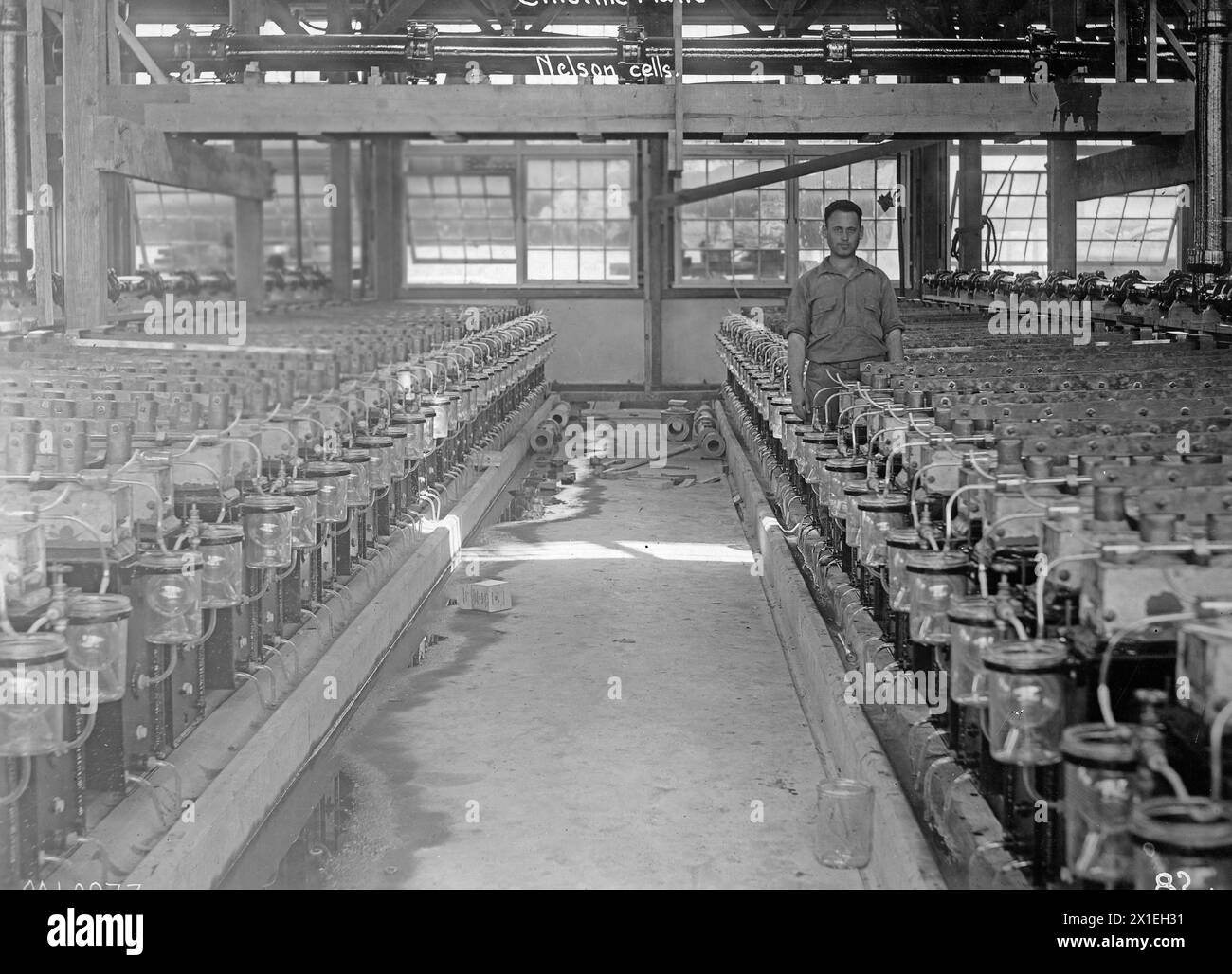 Chemical Warfare Service, Edgewood Arsenal, MD. A man working in a ...