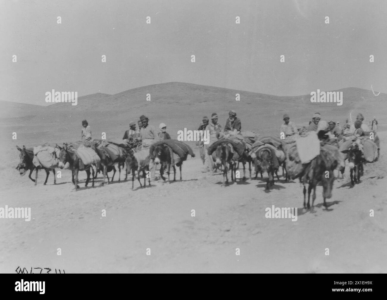 Donkey carts hi-res stock photography and images - Alamy