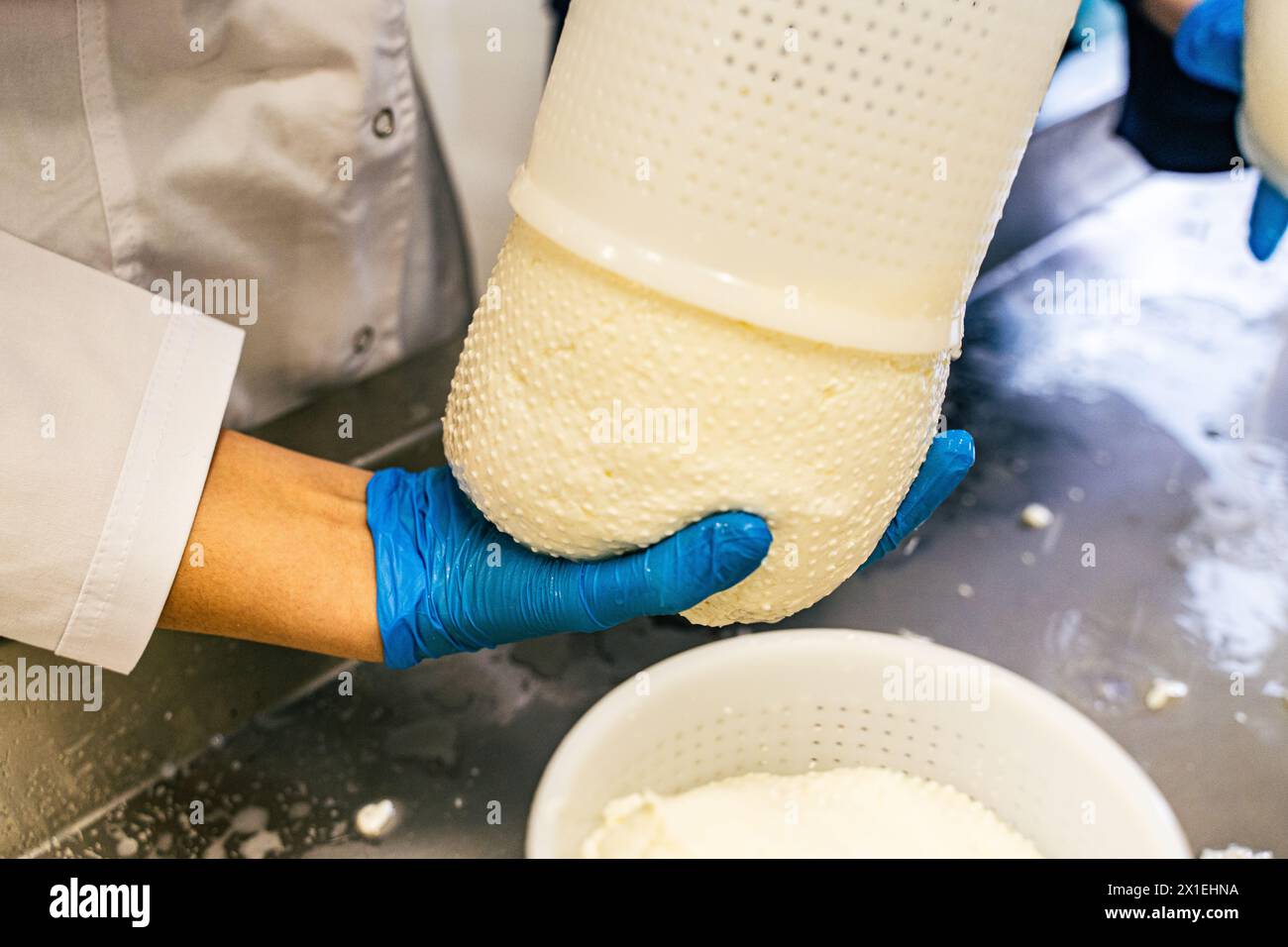 The stage of cheese production is the pressing of the cheese mass. The ...