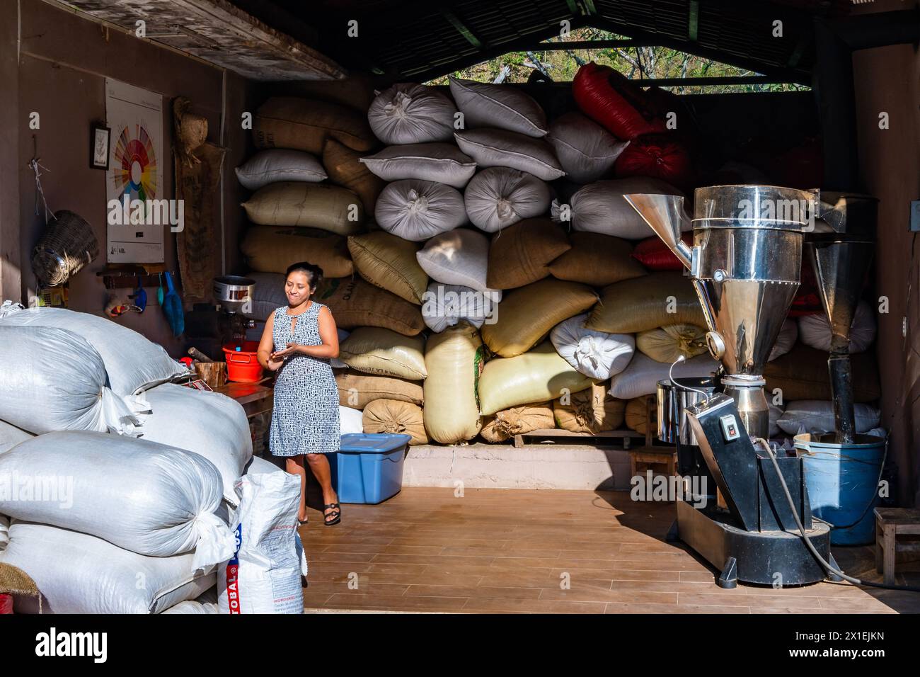 A young woman working in a coffee warehouse. Oaxaca, Mexico Stock Photo ...
