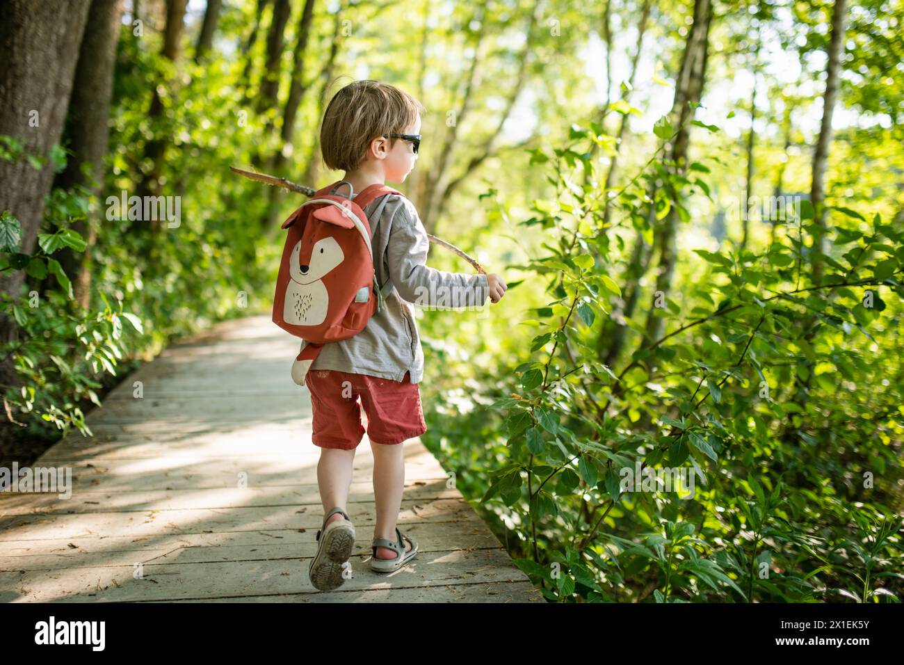 Cute little boy with a backpack having fun outdoors on sunny summer day ...