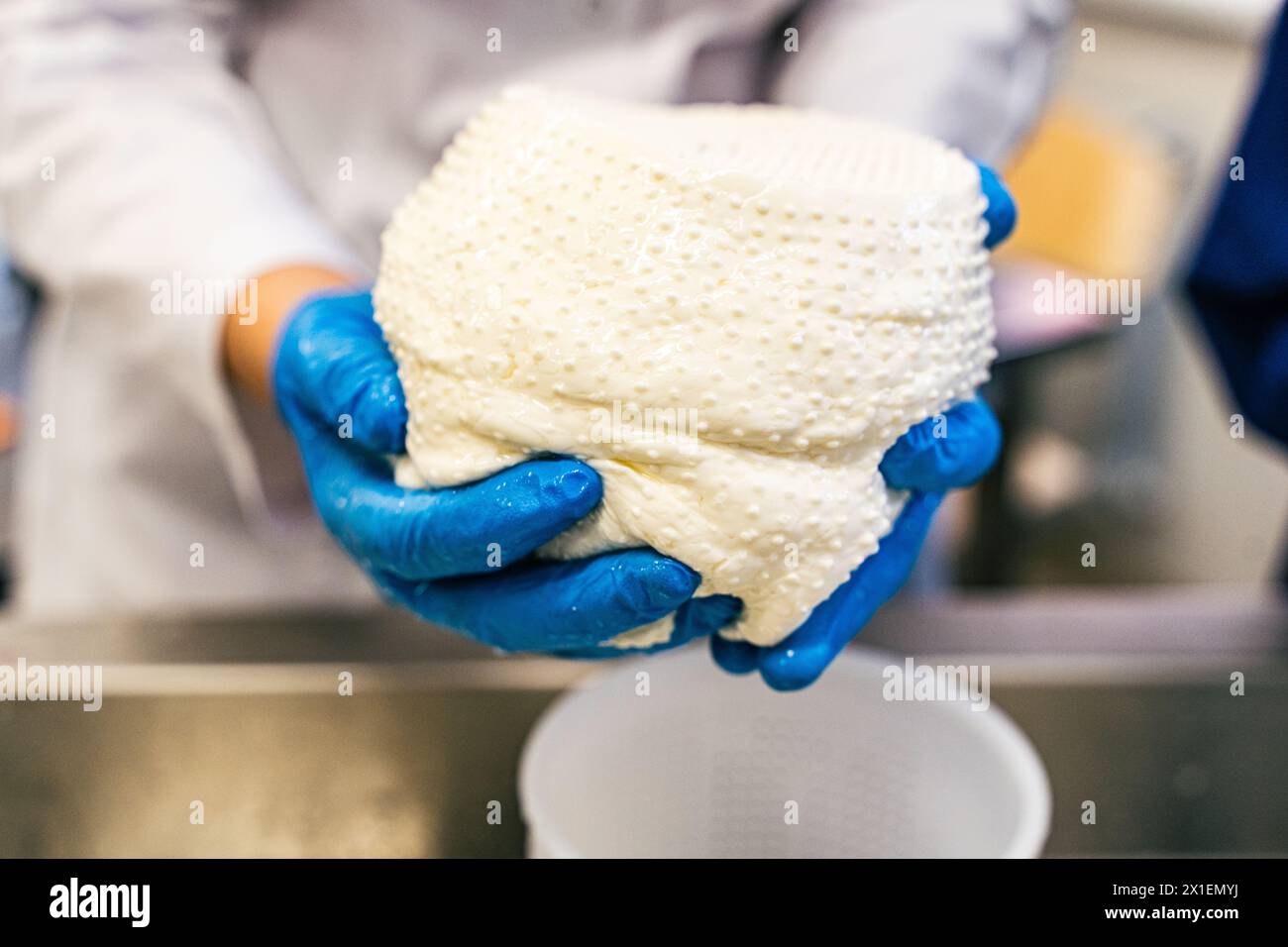 Production of mozzarella cheese, ricotta. Production of soft cheese ...