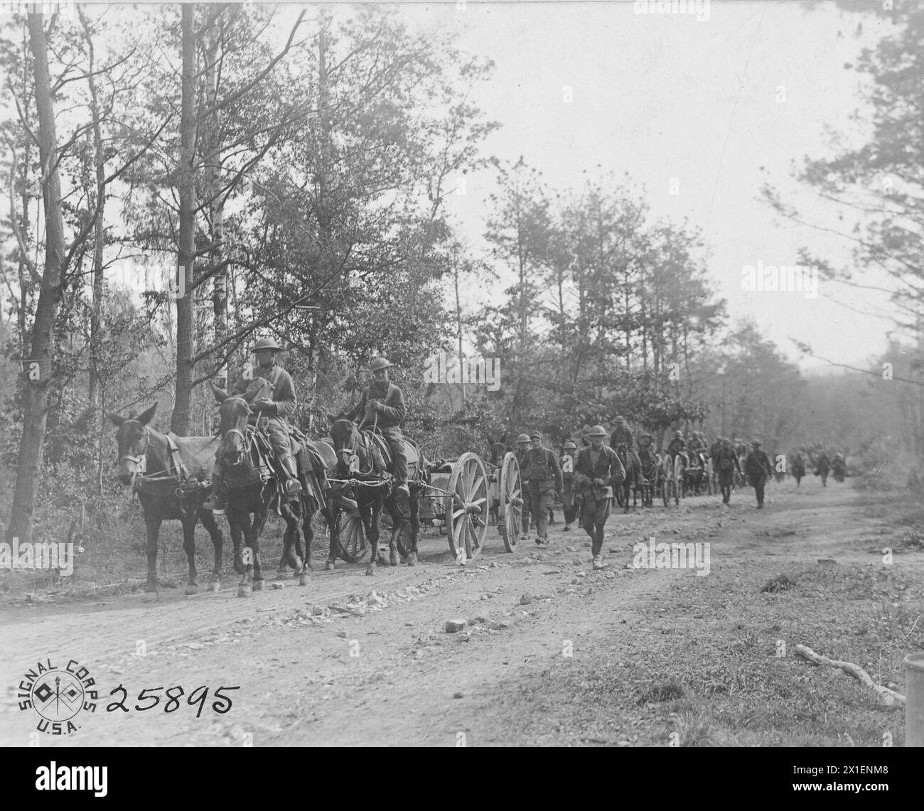 World War I Photos: Supply train of the 138th Supply Company moving ...