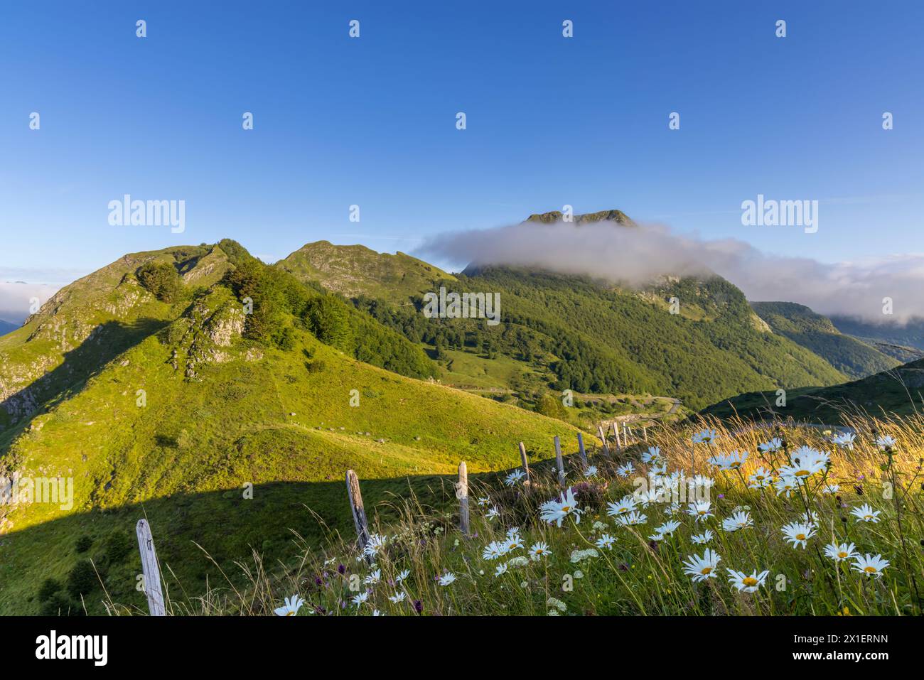 Landscape near Col d'Agnes, Department of Ariege, Pyrenees, France ...