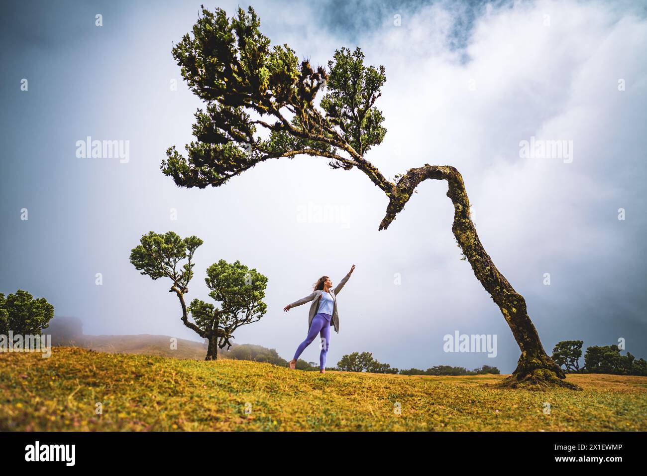 Description: Elegant woman reaches for isolated laurel trees on a flat ...