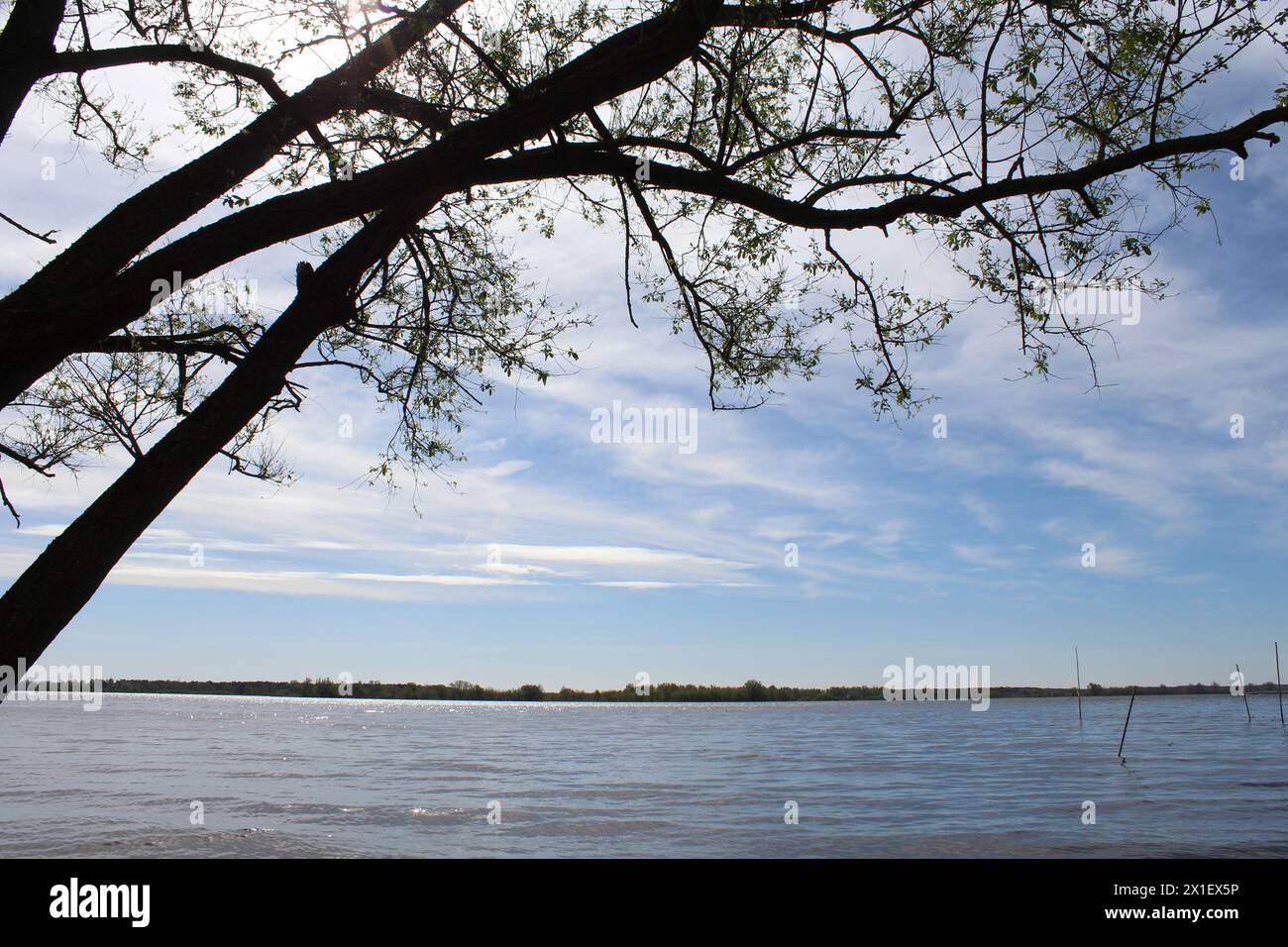 Sonne am baum hi-res stock photography and images - Alamy