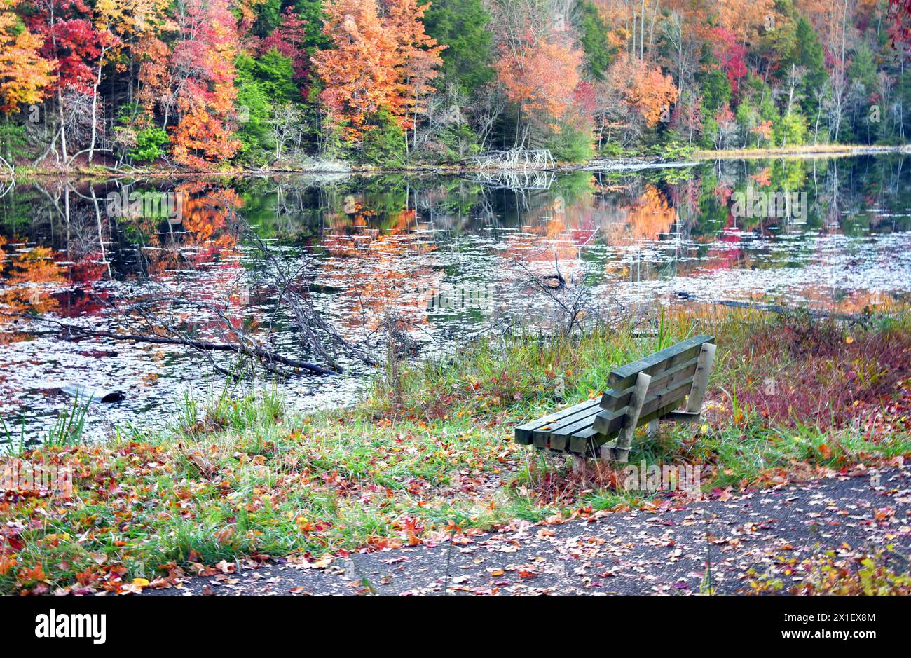 Wooden bench sits facing Bays Mountain Lake and the brilliant Fall ...