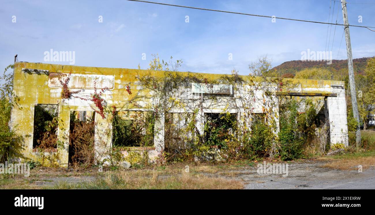 Cinder block building is empty and overgrown with weeds and vines ...
