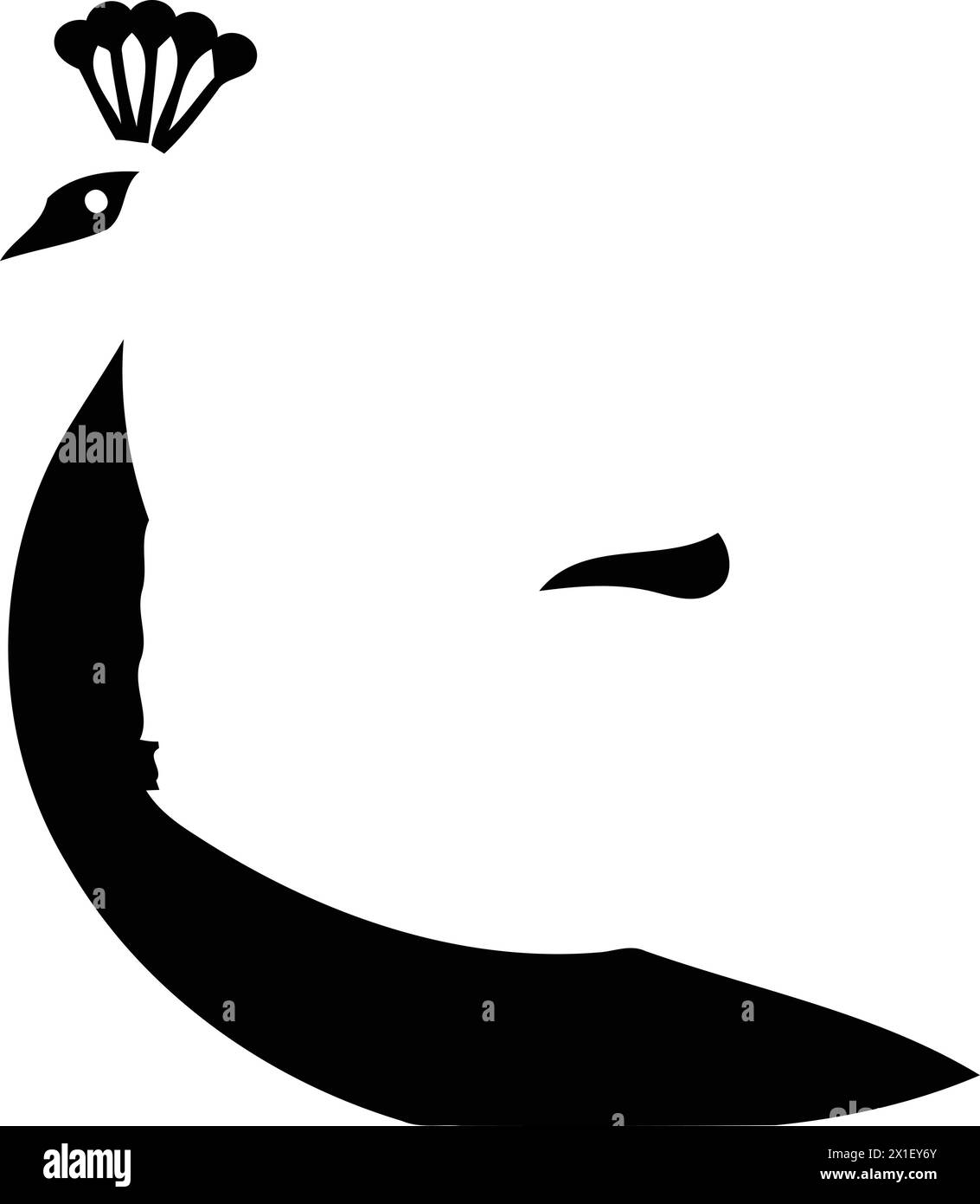 Peacock Vector Logo Design Template Colorful Peacock Icon Stock Vector