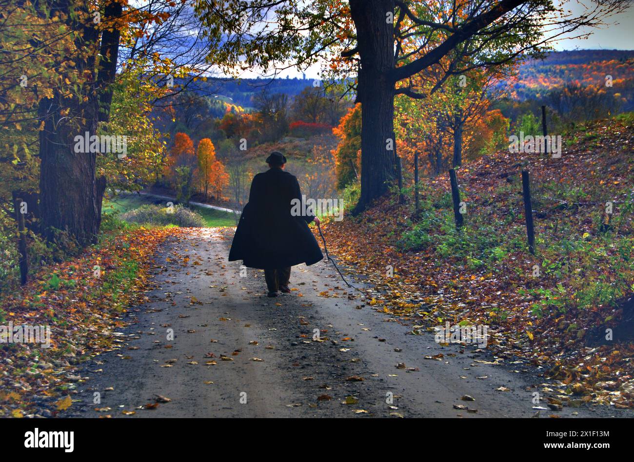A man in a long black coat walking away from the camera on a in fall ...