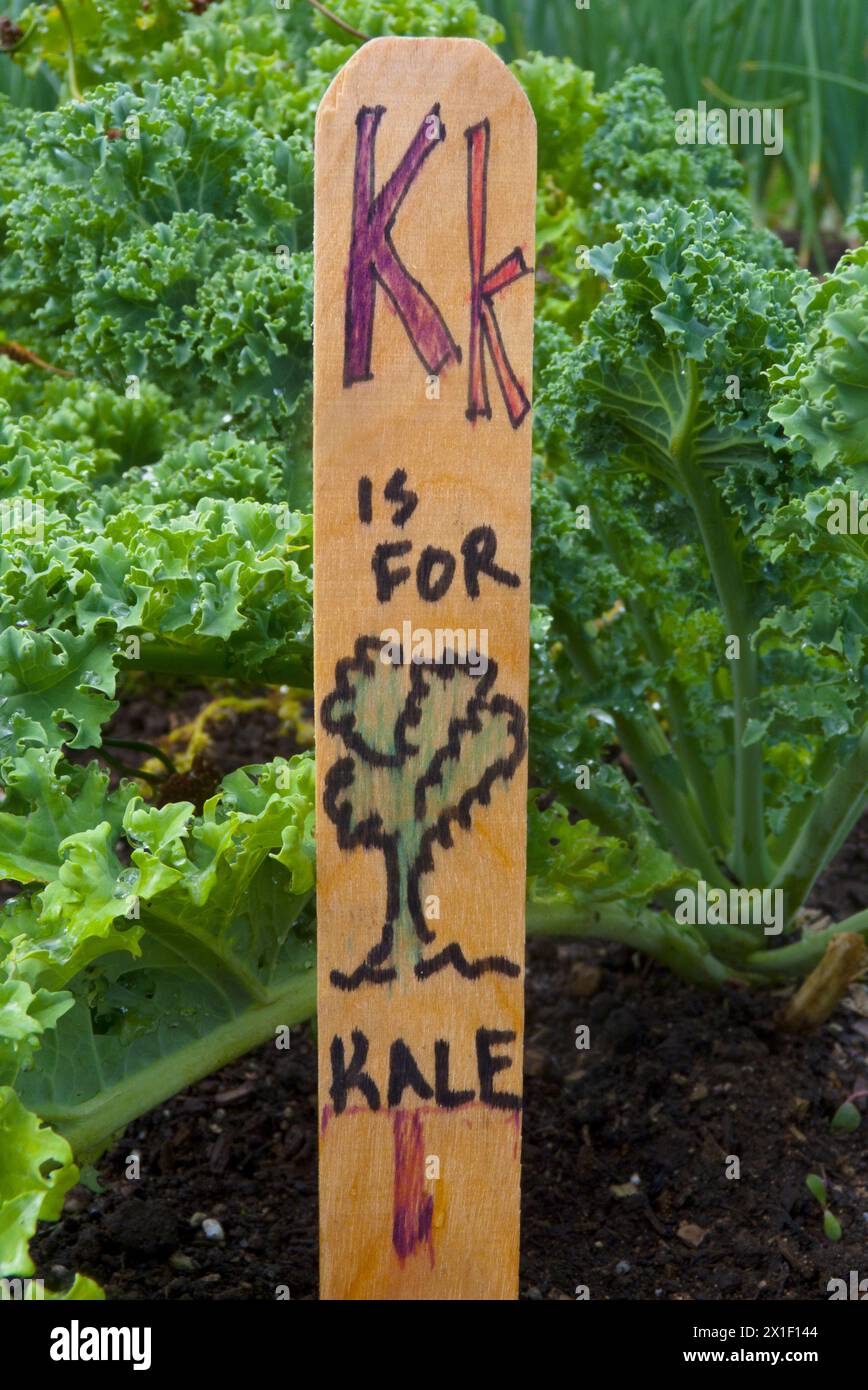Alphabet garden hi-res stock photography and images - Alamy