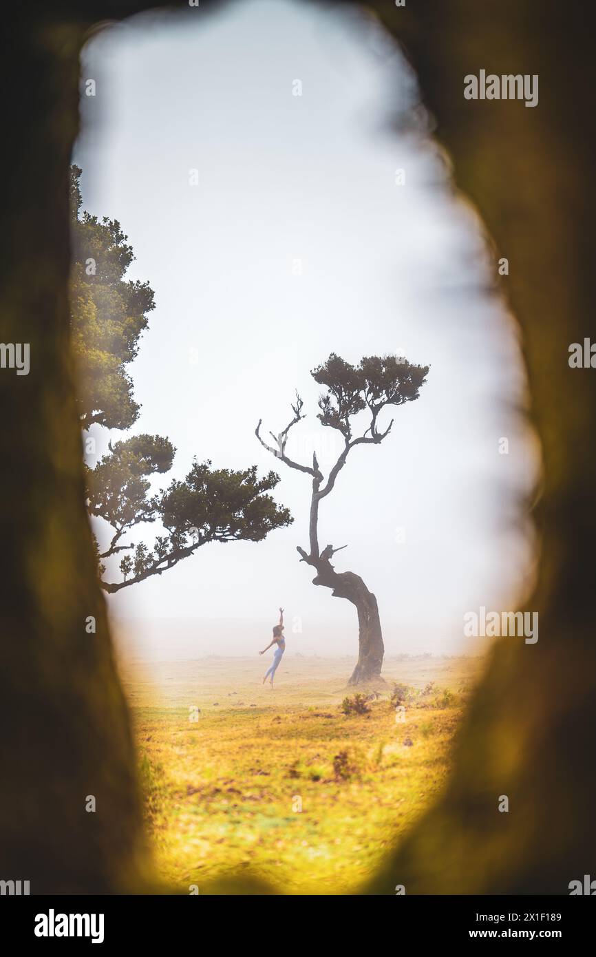 Fog dancing on forest hi-res stock photography and images - Alamy