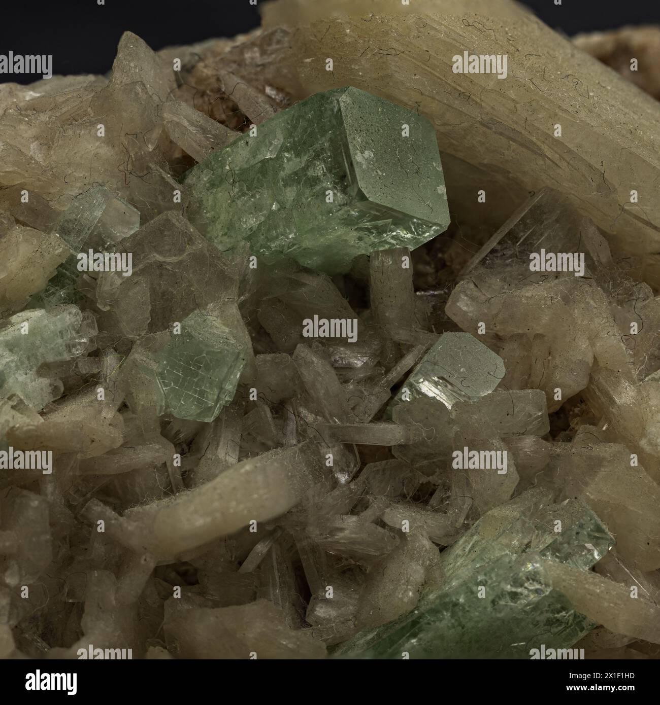 A crystal-clear moment captured, featuring the subtle elegance of ...