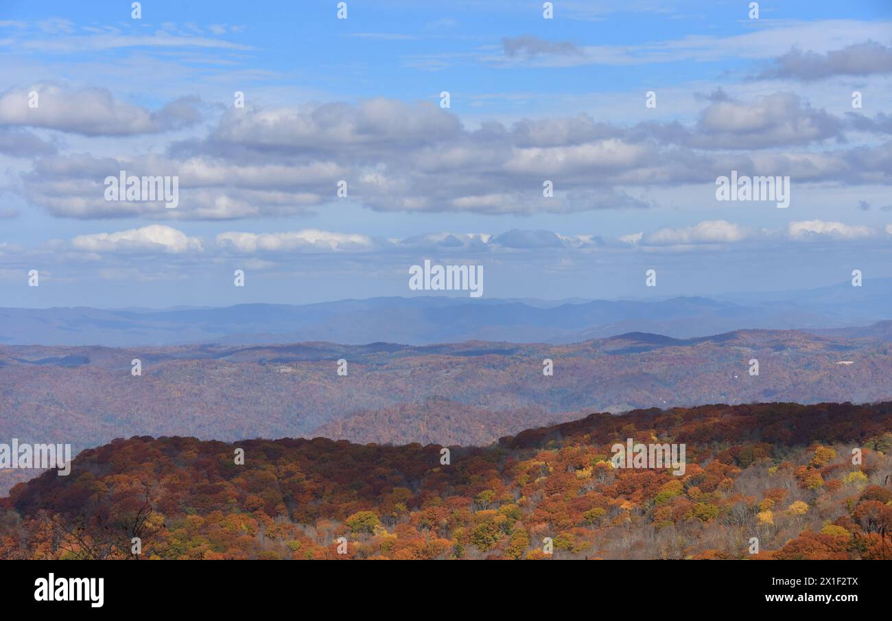 Roan mountain state park hi-res stock photography and images - Alamy
