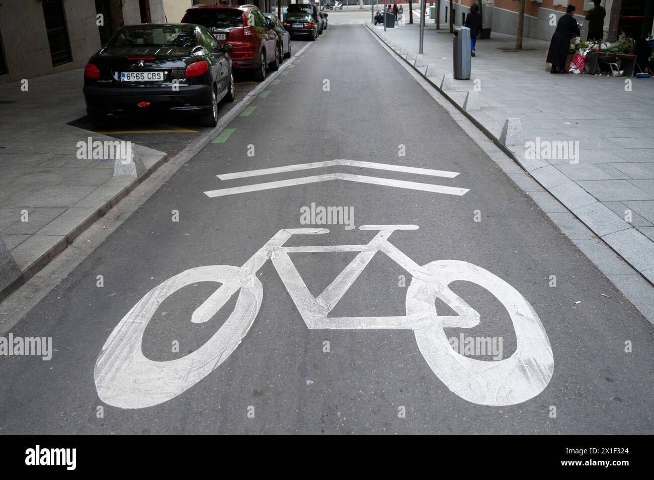 Madrid, Spain. 16th Apr, 2024. A bike lane and logo sign is painted on the pavements on the road ...