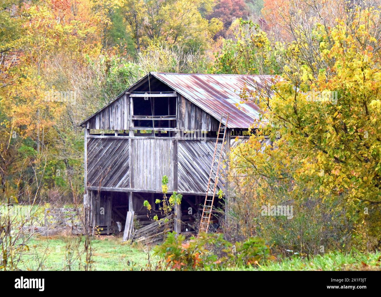 Rustin wooden barn sits among the Appalachian Mountain's Fall foliage ...