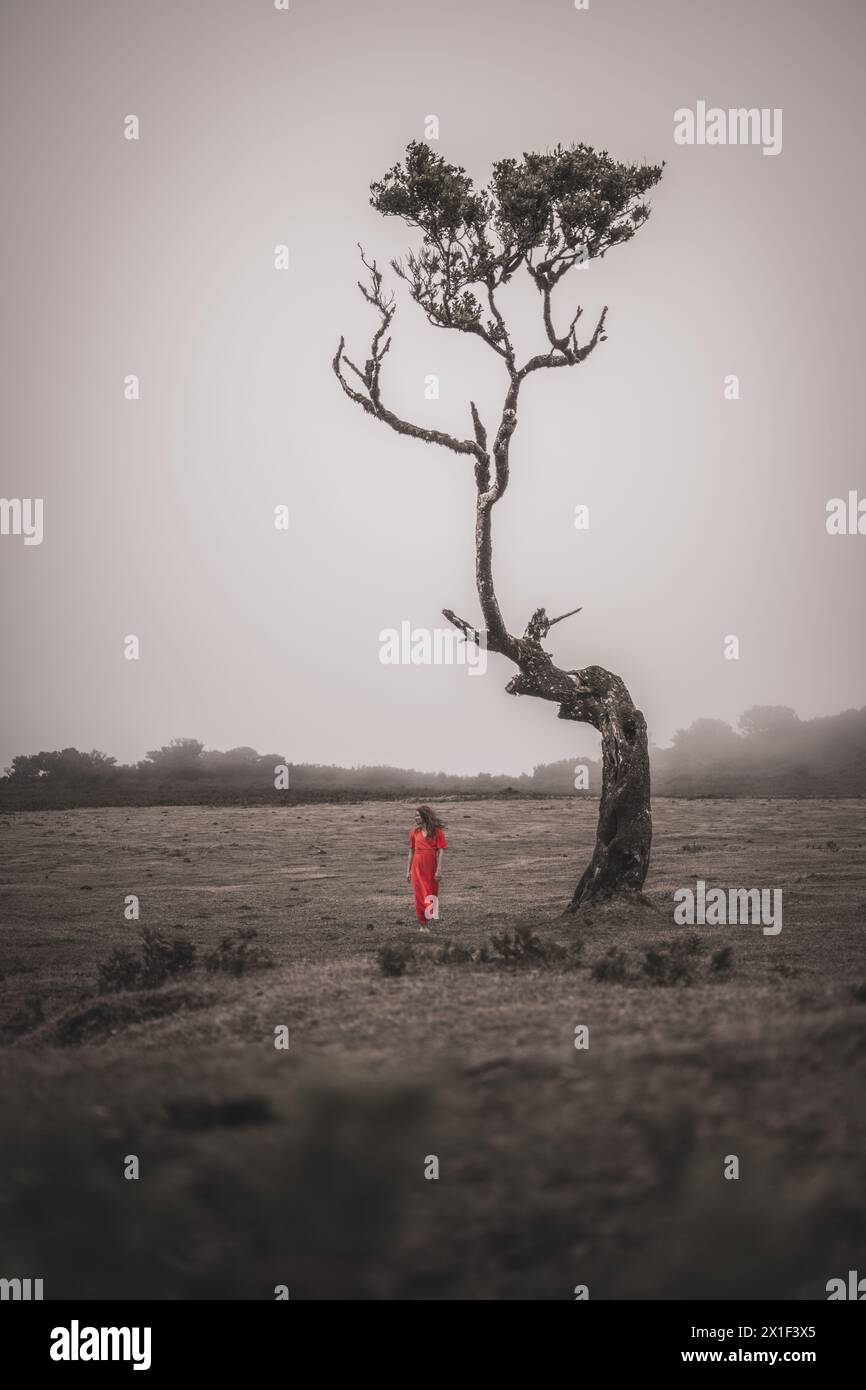 Description: Barefoot woman in red dress walks over windy field with ...