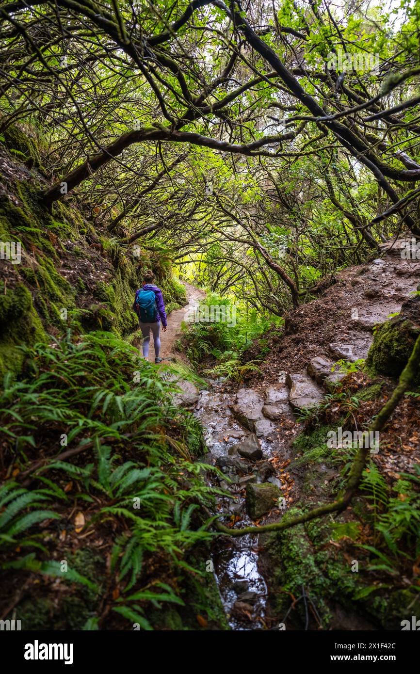Description: Female tourist with backpack hikes along a winding stary ...