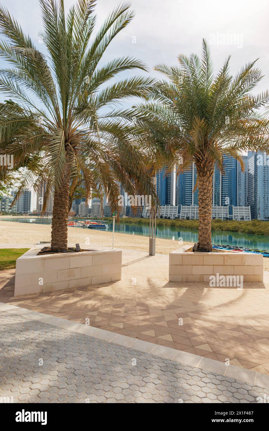 Beautiful Beach With Palm Trees And Modern Cityscape In Abu Dhabi, UAE ...