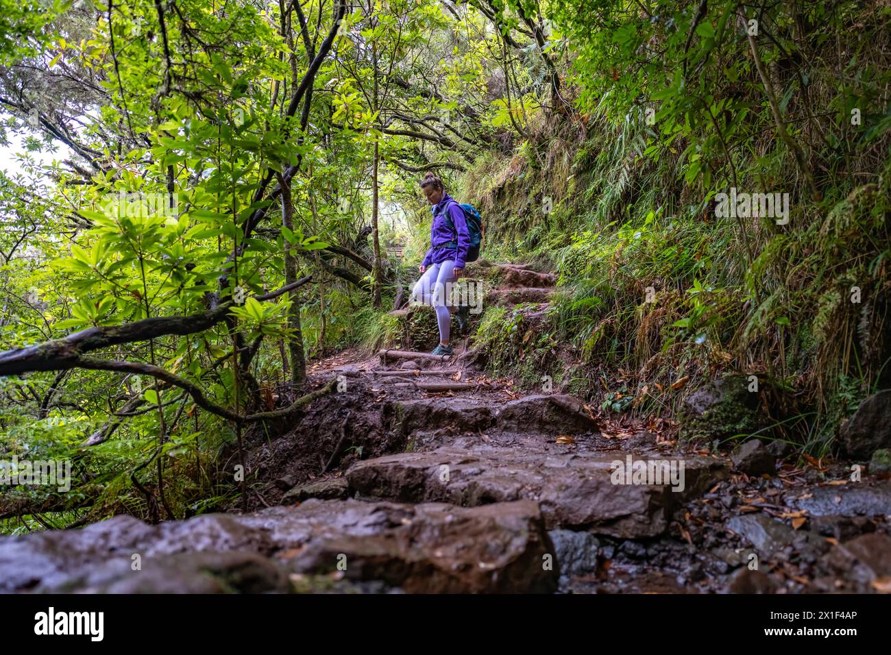 Description: Low angle shot of female tourist with backpack hiking down ...