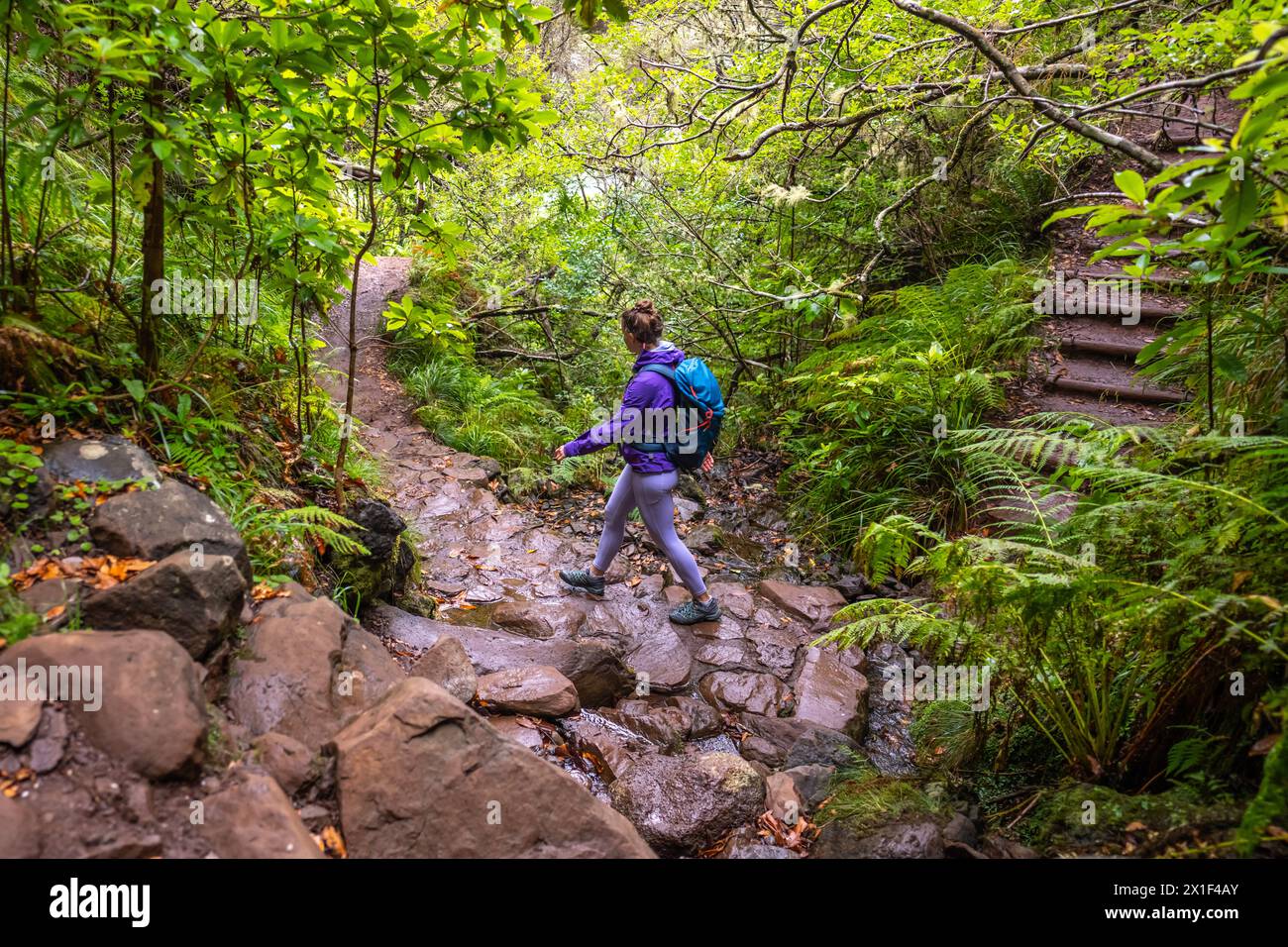 Description: High angle shot of female tourist with backpack hiking ...