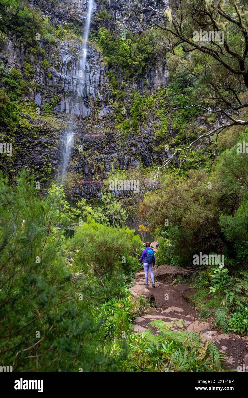 Description: Female tourist with backpack hikes torwards a high ...